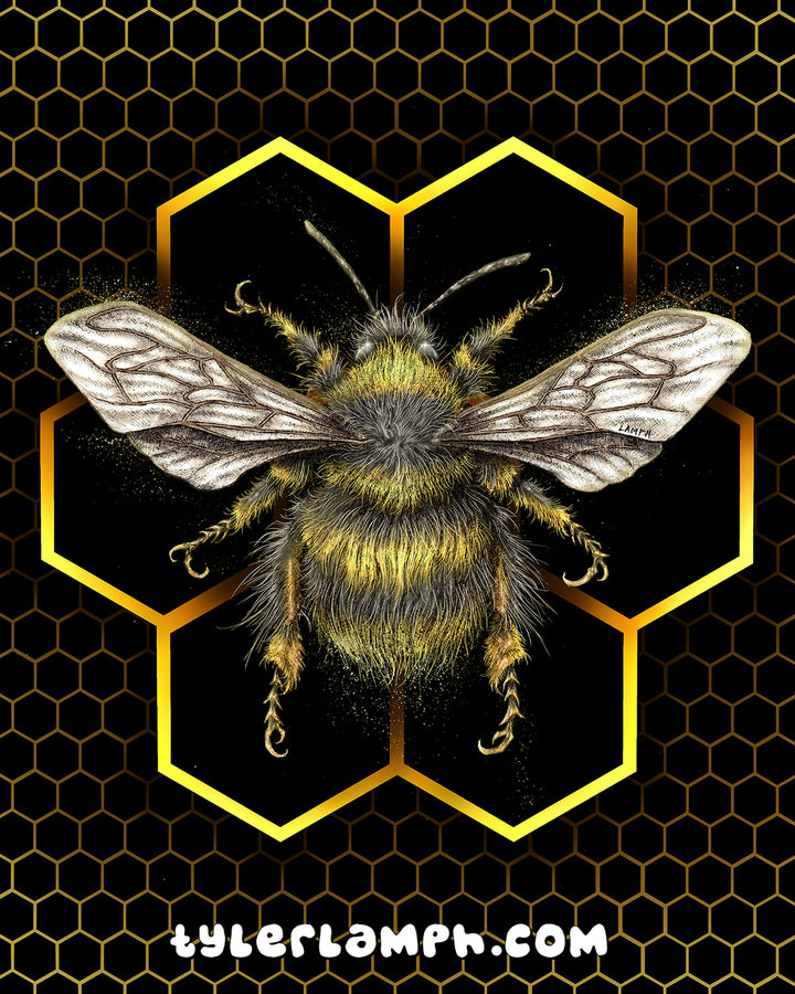 The Art of Tyler Lamph